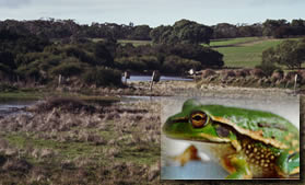 Natural wonders of the district